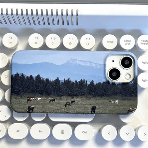 [머머] Farm Hard Case 목장 폰케이스 에이블리