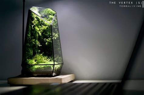 Plant Friendly Products Designed To Fulfill Your Indoor Gardening Aspirations Cultivate A
