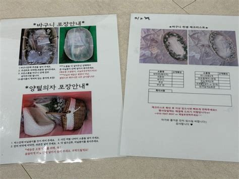 50일 셀프촬영 집에서 찍는 아기 기념일촬영 로다테이블 백일상 돌상까지 네이버 블로그