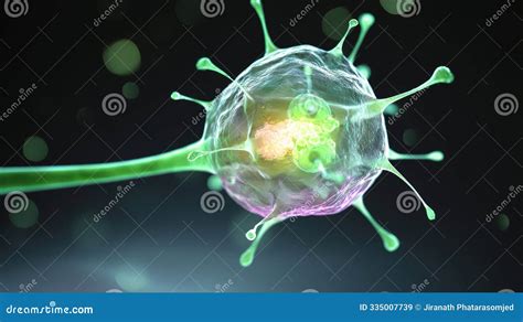 Microscopic View Of A Cell Stock Illustration Illustration Of Organism 335007739