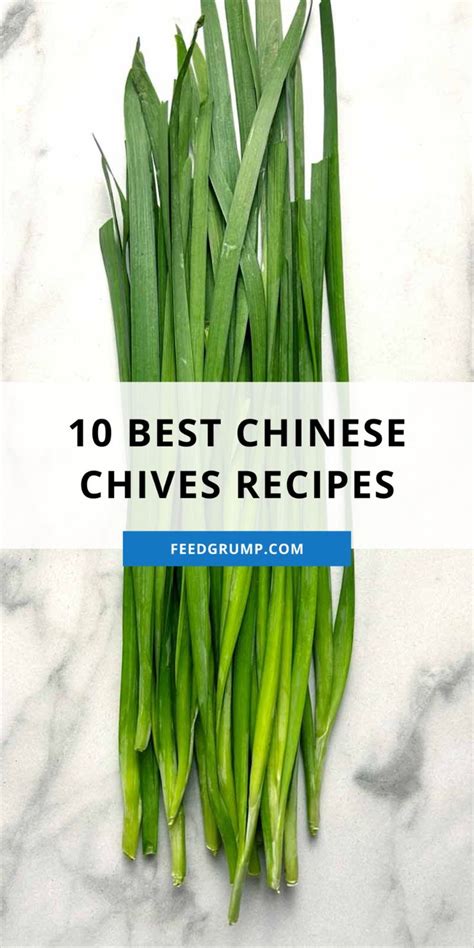 10 Best Chinese Chives Recipes Chinese Chives Chives Recipe Chinese