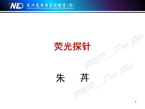 3 荧光探针 word文档在线阅读与下载 无忧文档