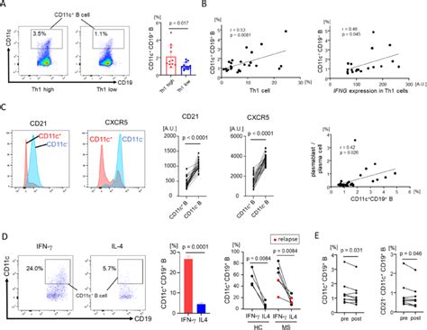 Cd11c B Cells Are Correlated With Th1 Cell Frequency A Download Scientific Diagram