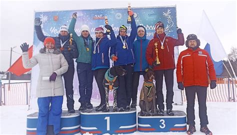 Сразу 5 медалей завоевали спортсмены из Ленобласти на всероссийских соревнованиях по ездовому спорту