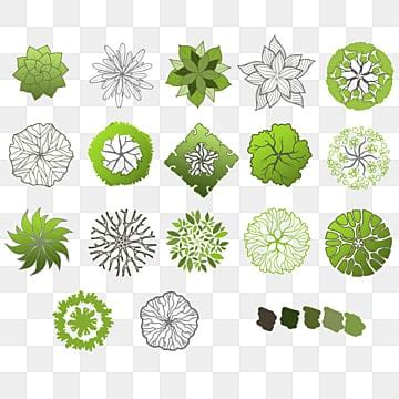 Plan Trees PNG Transparent Images Free Download Vector Files Pngtree