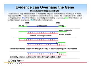 Automated Prokaryotic Annotation At Jcvi Ppt