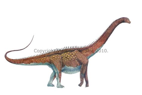 Alamosaurus Facts And Pictures