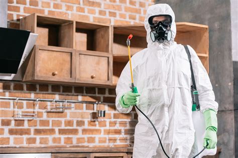 Pcs Pest Control Services Top Pest Control Service In Madurai