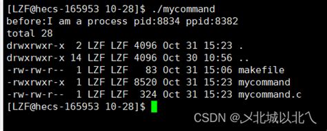 Linux进程程序替换 Csdn博客