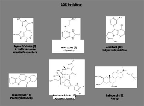 Chemical Structures Of Some Natural Pkc And Cdk Inhibitors Isolated