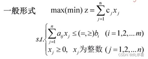 数学建模（三）整数规划 csdn博客