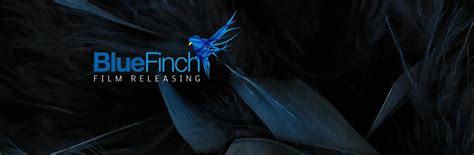 Blue Finch Film Releasing