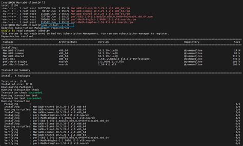 【安装】离线安装mariadb105mariadb 离线安装 Csdn博客 【安装】离线安装mariadb105mariadb 离线安装 Csdn博客