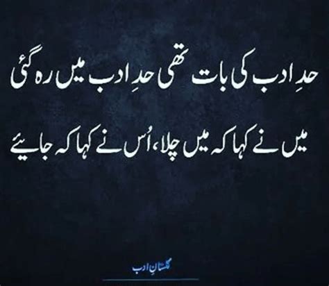 Urdu Poetry Emotions And Feelings In Beautiful Words