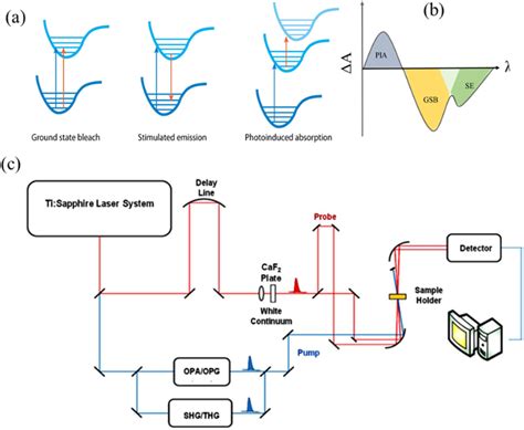 Mechanistic Diagram Of Transient Absorption Spectroscopy And Related