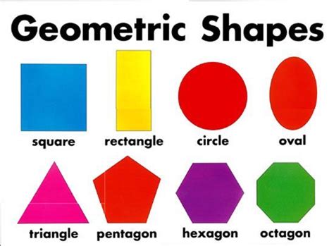 Match Area Formulas With Shapes 6th Grade Quiz Wayground