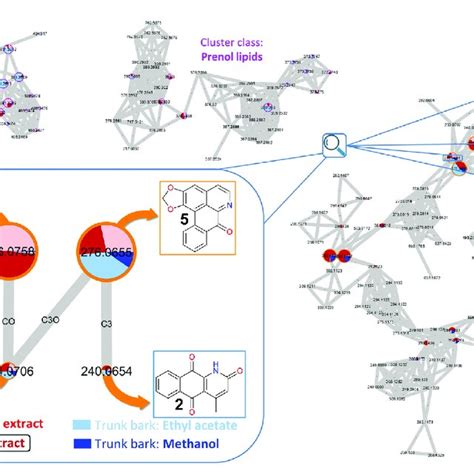 Feature Based Molecular Network Fbmn Of C Brandisiana Roots And Download Scientific Diagram