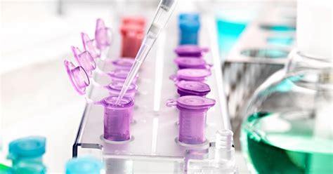 Echa Consults Over One Substance As Svhc Sgs Indonesia