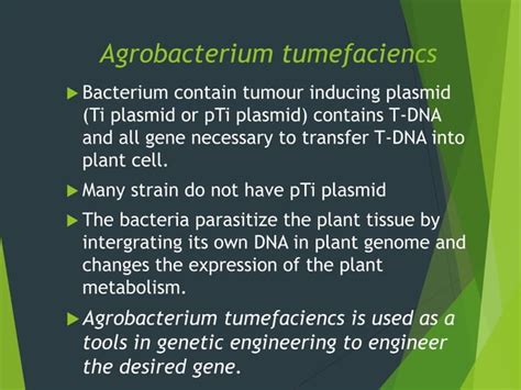 Agrobacterium Mediated Gene Transfer Pptx Biotech And Biomedical Industry Industries