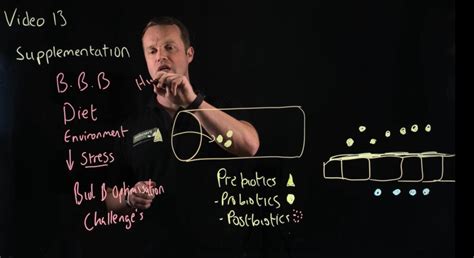 Precision Microbes Launch Equine Gut Health Video Series Watch Now