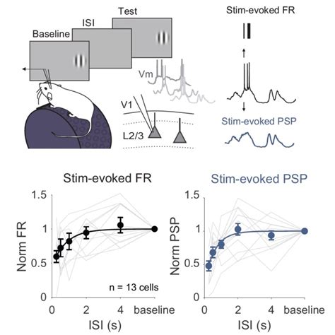 Science — Jennifer Y Li