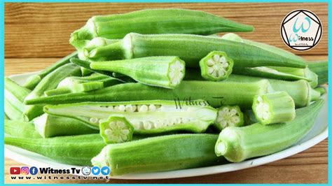 Okra Medicine For Diabetes At Eleanor Noel Blog