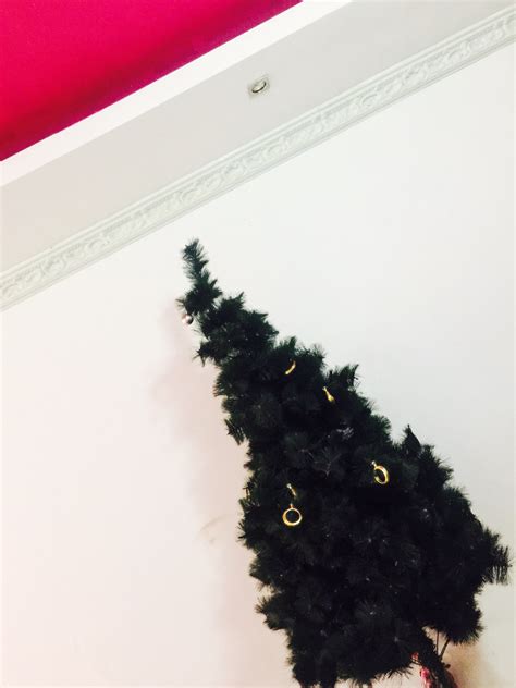 The Naked Christmas Tree Julia Elle Diaries