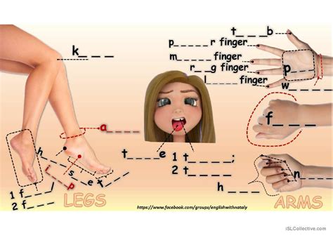 Body And Appearance Pictionary Pic… English Esl Powerpoints