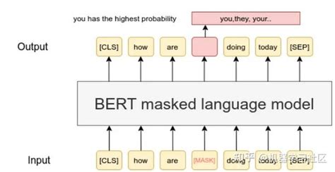 精通 Bert：从自然语言处理（nlp）初学者到高级的全面指南 知乎