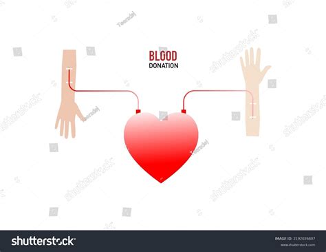 Blood Donation Concept Transfusion Blood Giver Stock Vector Royalty