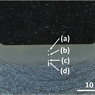 Overview Image Of The Examined Microstructure The Marked Areas Denote