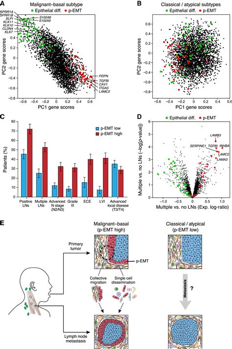 Single Cell Transcriptomic Analysis Of Primary And Metastatic Tumor