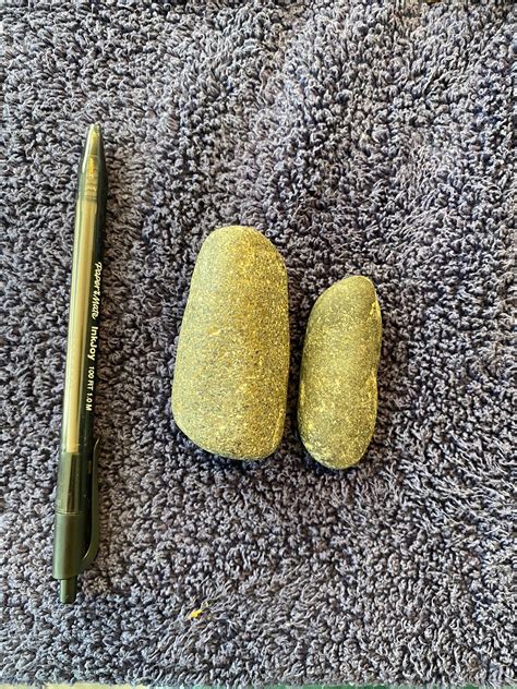 Gastroliths Fossil Id The Fossil Forum