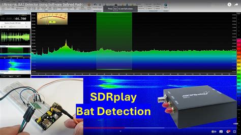 Bat Detection With An Sdrplay Rspdx Sdrplay