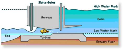 Principles Behind Tidal Power Plant Source Download Scientific Diagram