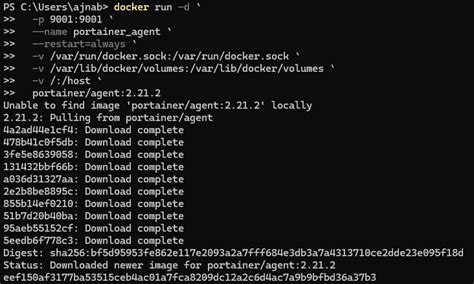 Docker Desktop Portainer Agent Hake Hardware