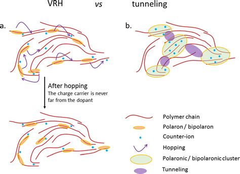 Schematic Representation Of A The Variable Range Hopping Model Vs B Download Scientific