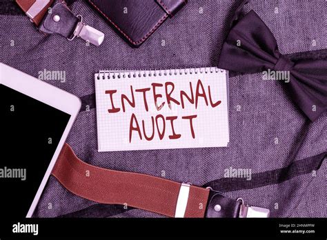 Hand Writing Sign Internal Audit Business Idea Evaluates The