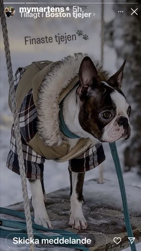 53259052 E9 A7 4003 8 B8 B A6 C2275 Da3 D1 — Postimages