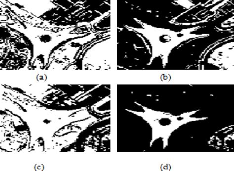 Figure 2 From Hsv Color Space Based Segmentation Of Region Of Interest