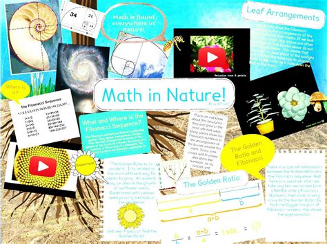 SOLUTION Fibonacci Sequence And The Golden Ratio Studypool