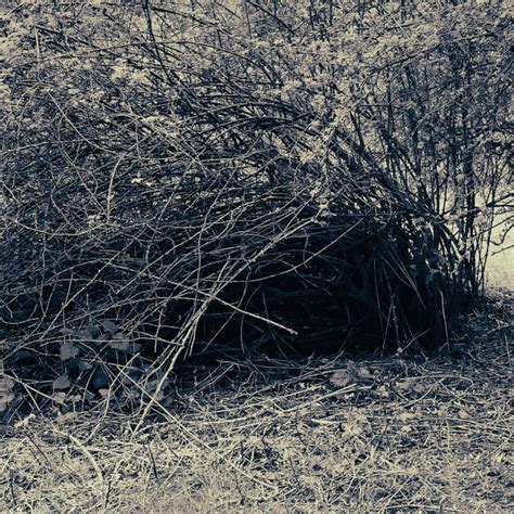 Dan Dit Een Zucht Van Judith Lechner Kunsthandel En Lijstenmakerij Ongering