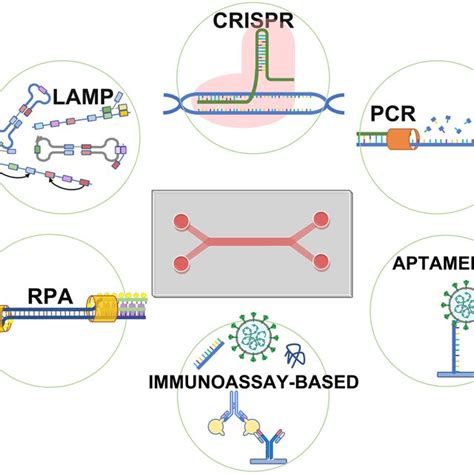Overview Of The Most Commonly Used Microfluidic Diagnostic Methods For