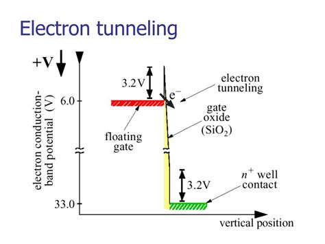 Ppt Analog Vlsi Neural Circuits Powerpoint Presentation Free