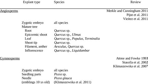Explant Used To Induce Somatic Embryogenesis In Angiosperm And