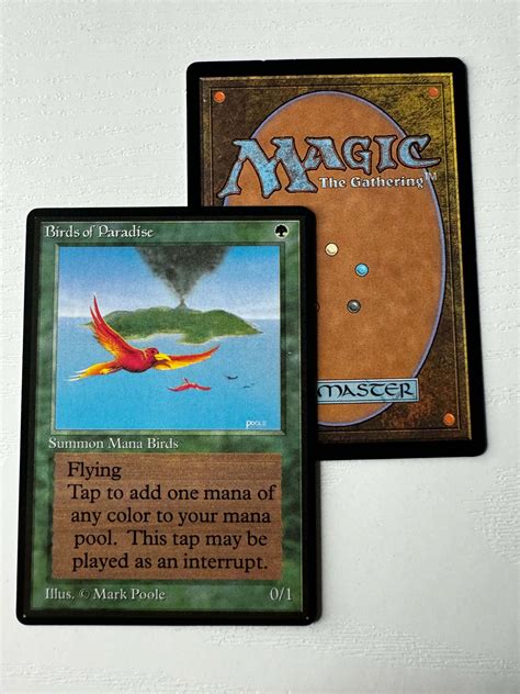 Birds Of Paradise Beta Tolarian Library
