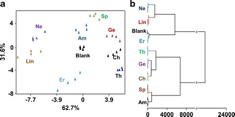 A PCA Plot And B HCA Analysis For The Discrimination Of Antibiotics Download Scientific