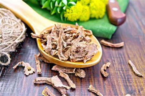 What Are Adaptogenic Herbs And How Can They Improve Your Health Dr
