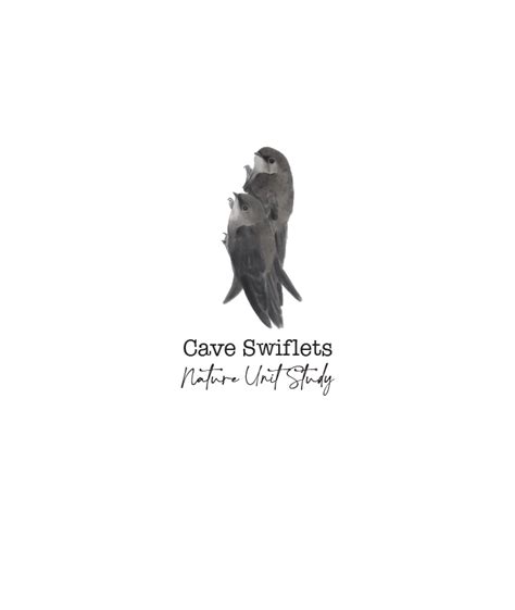 Cave Swiftlets — Wildflowers