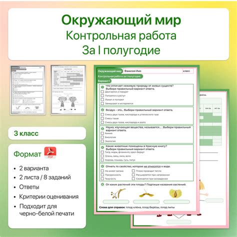 Контрольная работа за I полугодие Окружающий мир 3 класс УМК Школа России